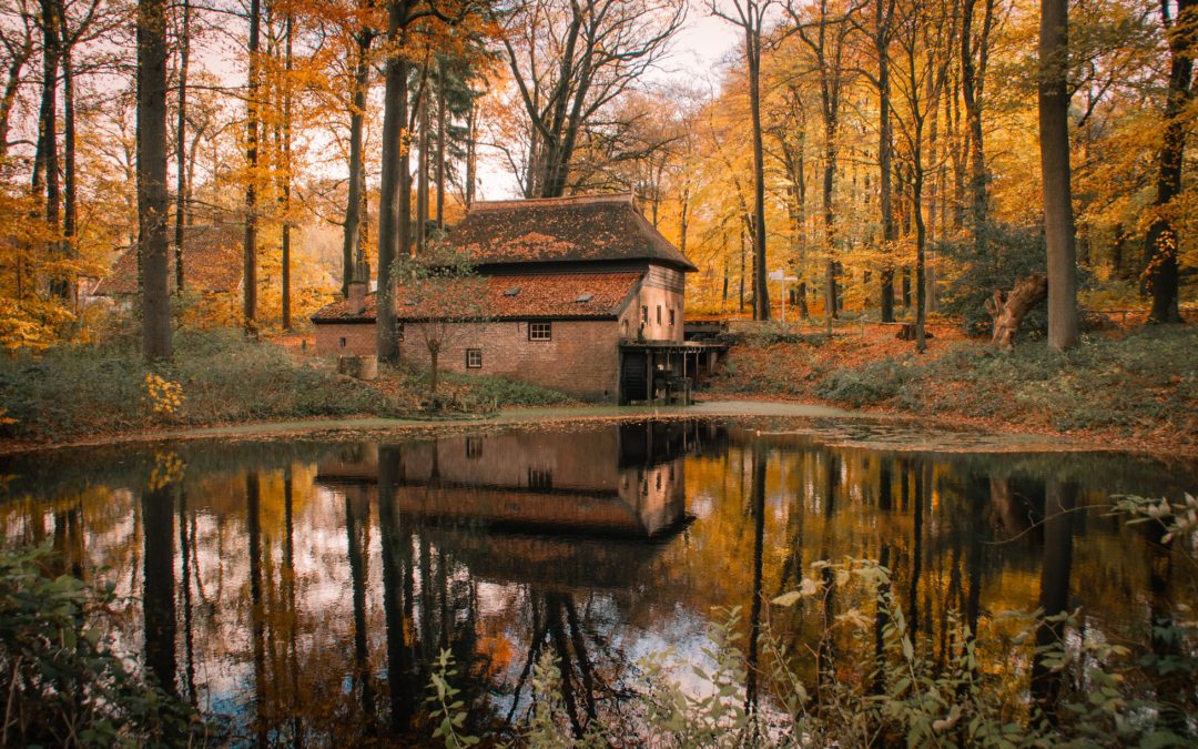 Geniet van de Nederlandse natuur in deze natuurgebieden - Kaart Assen